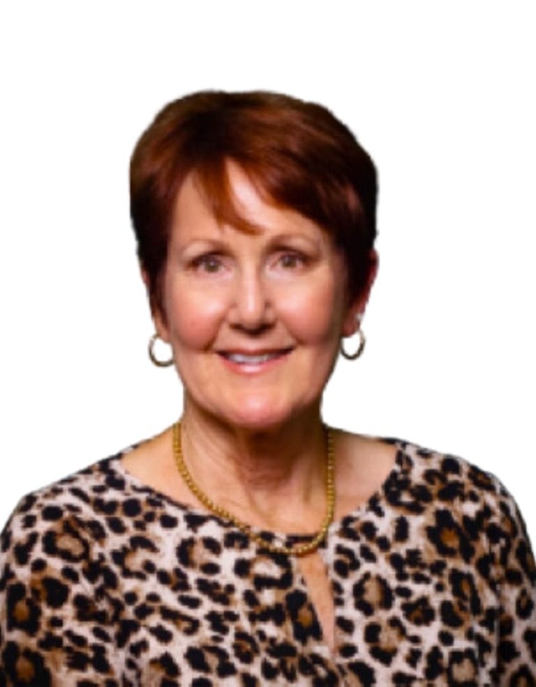 About Us - The Advisory Panel on the South32 Hermosa Project