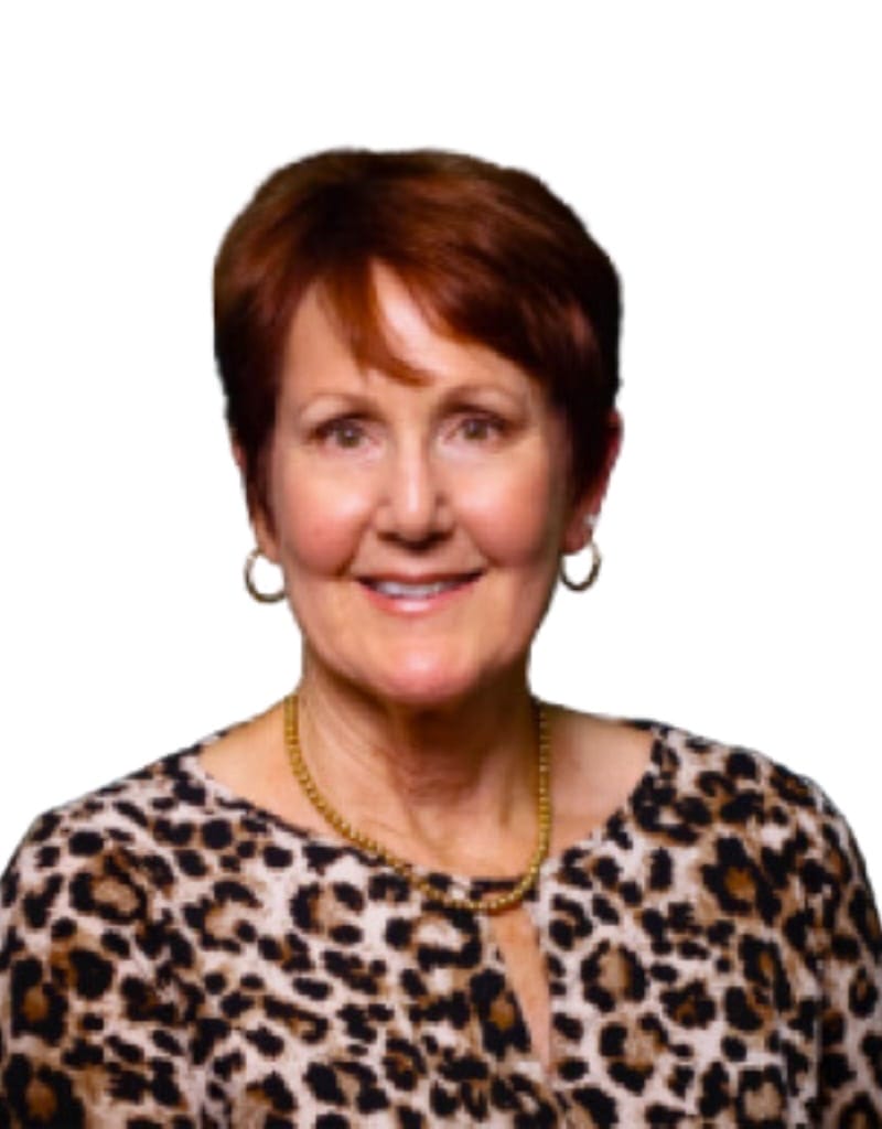 About Us - The Advisory Panel on the South32 Hermosa Project